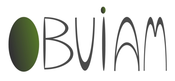 Accueil [OBVIAM Conseil, Formation, Recrutement]